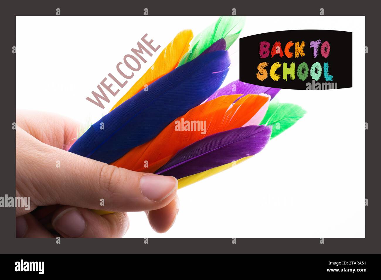 Back to school, education background for invitation, promotion poster ...