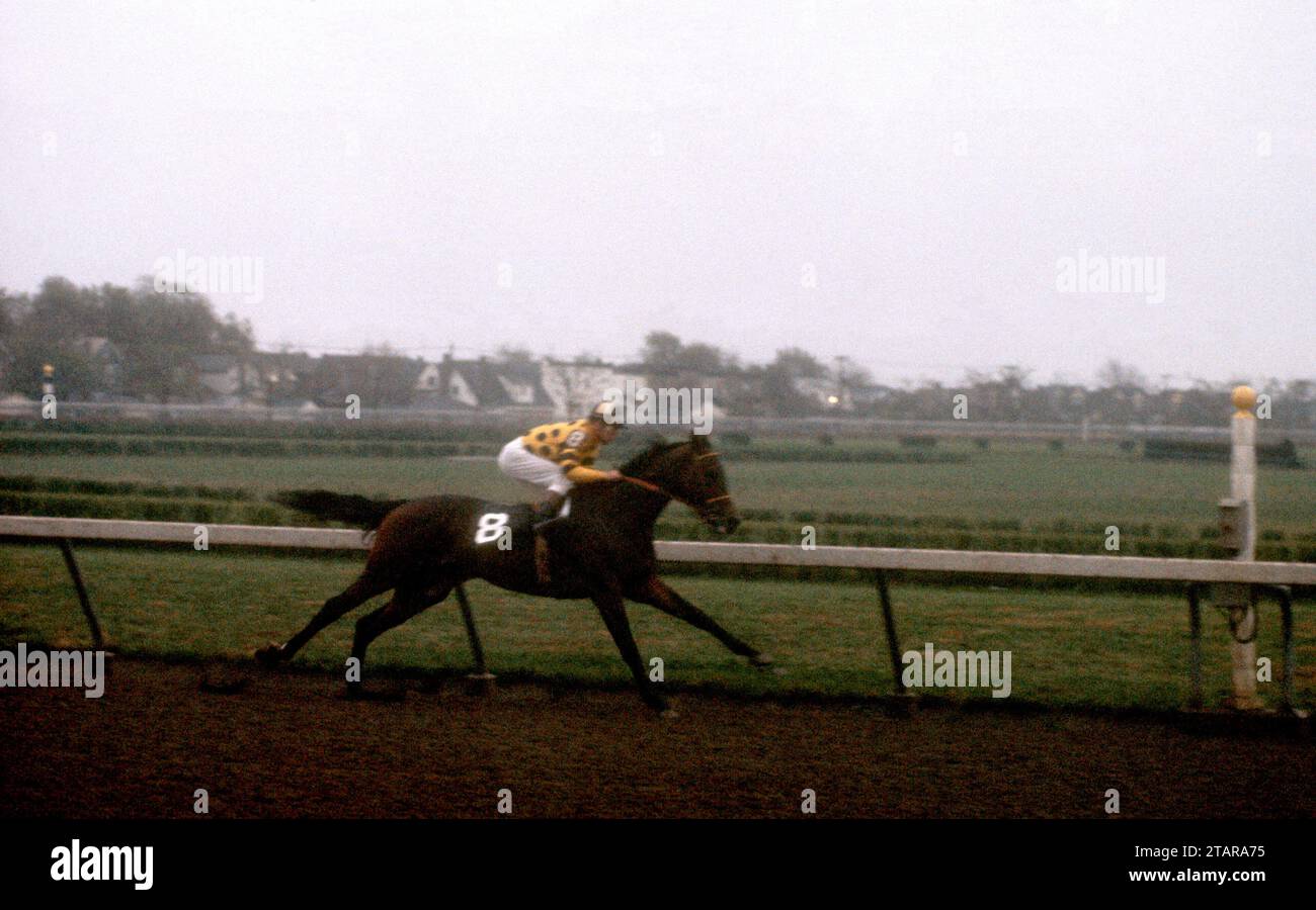 NEW YORK, NY - OCTOBER 1: Jockey Bill Hartack aboard Tudor Era #8 races ...