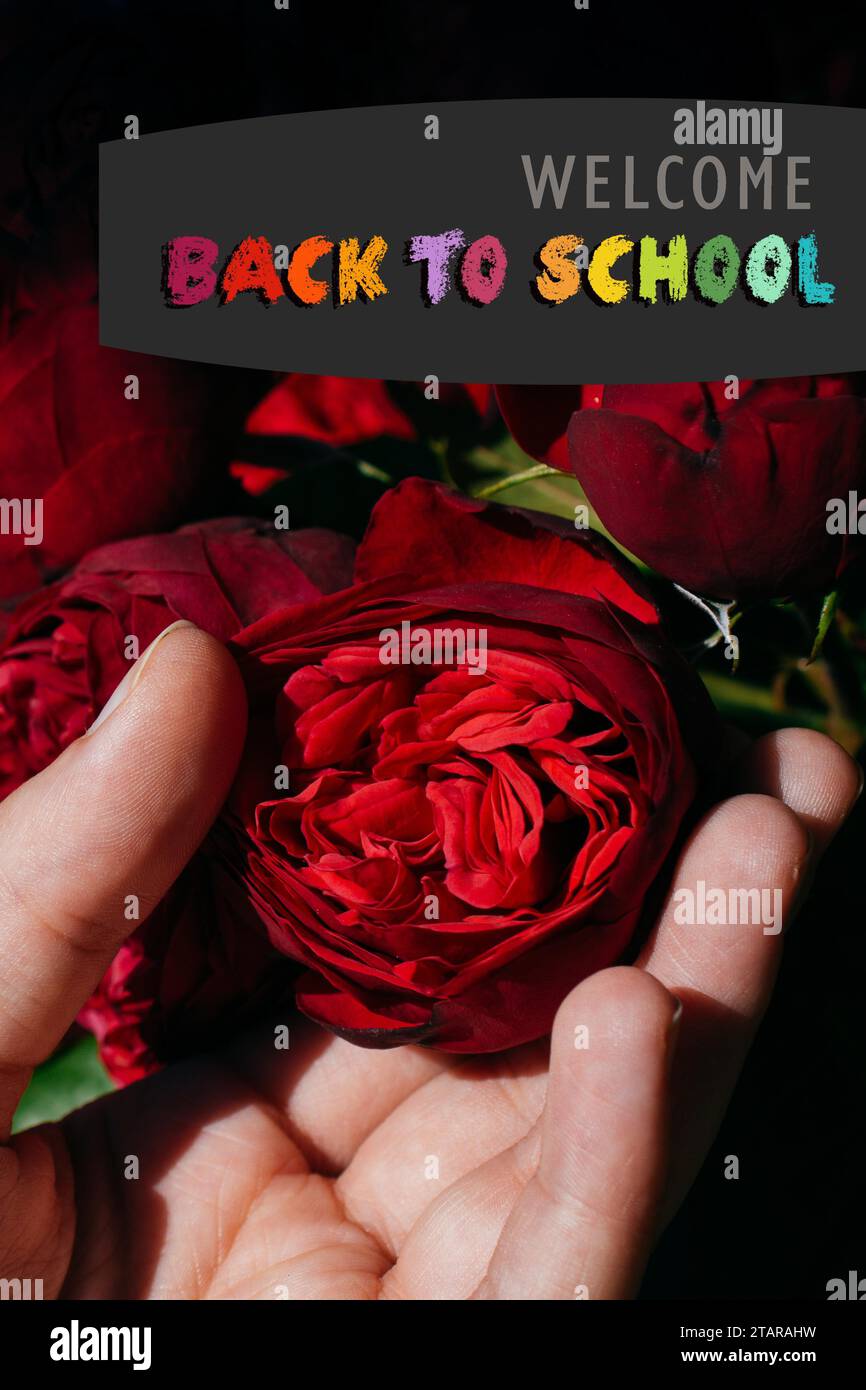 Back to school, education background for invitation, promotion poster ...