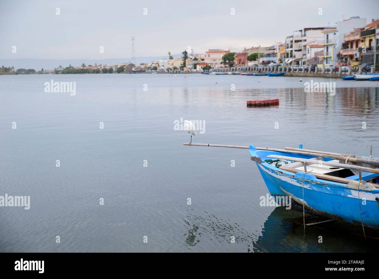 Messina, Italy. 2nd Dec, 2023. The Capo Peloro Lagoon was recognized in ...