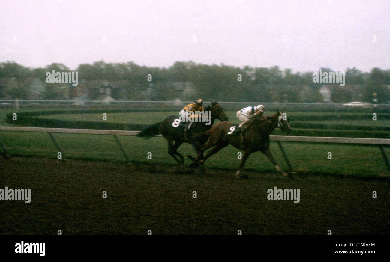 NEW YORK, NY - OCTOBER 1: Jockey Eddie Arcaro aboard Sword Dancer #9 ...