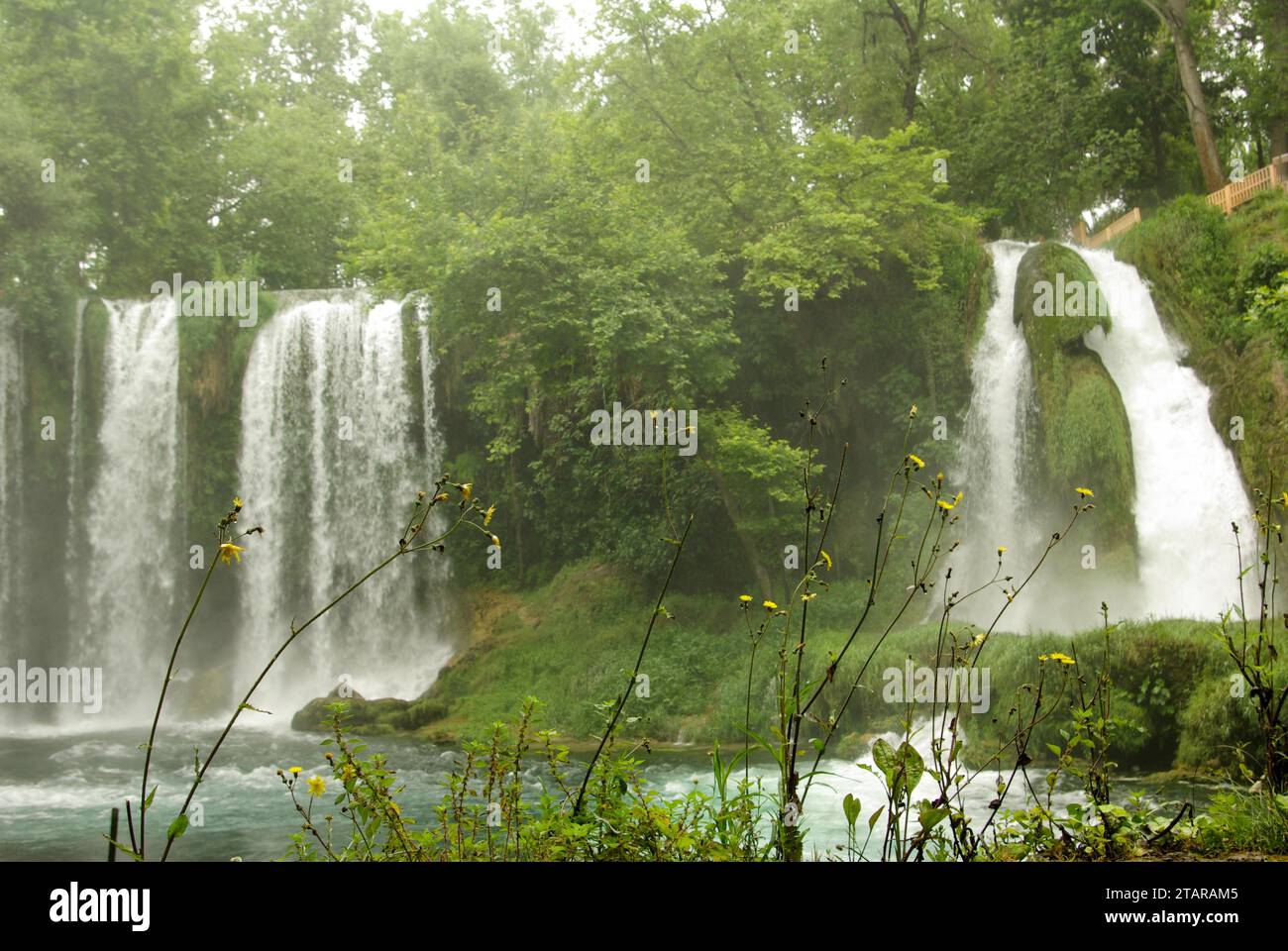 Waterfall cascades from ravine hi-res stock photography and images - Alamy