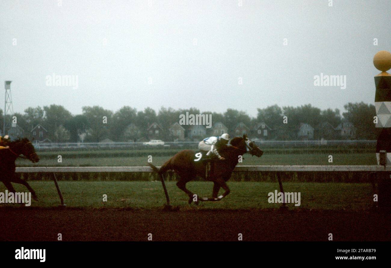 NEW YORK, NY - OCTOBER 1: Jockey Eddie Arcaro aboard Sword Dancer #9 ...