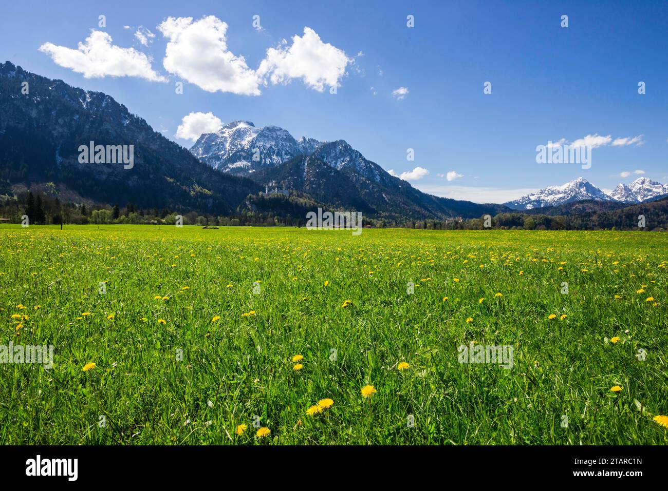 Neuschwanstein Castle, Schwangau, Ostallgaeu, Allgaeu, Bavaria, Germany ...