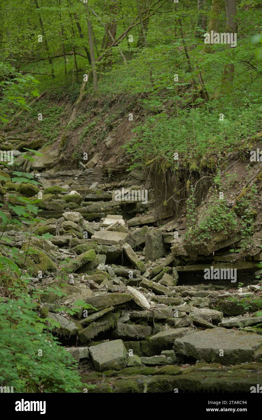Debris pushes down the stream, Geology, Wettbach, Wettbachklinge ...
