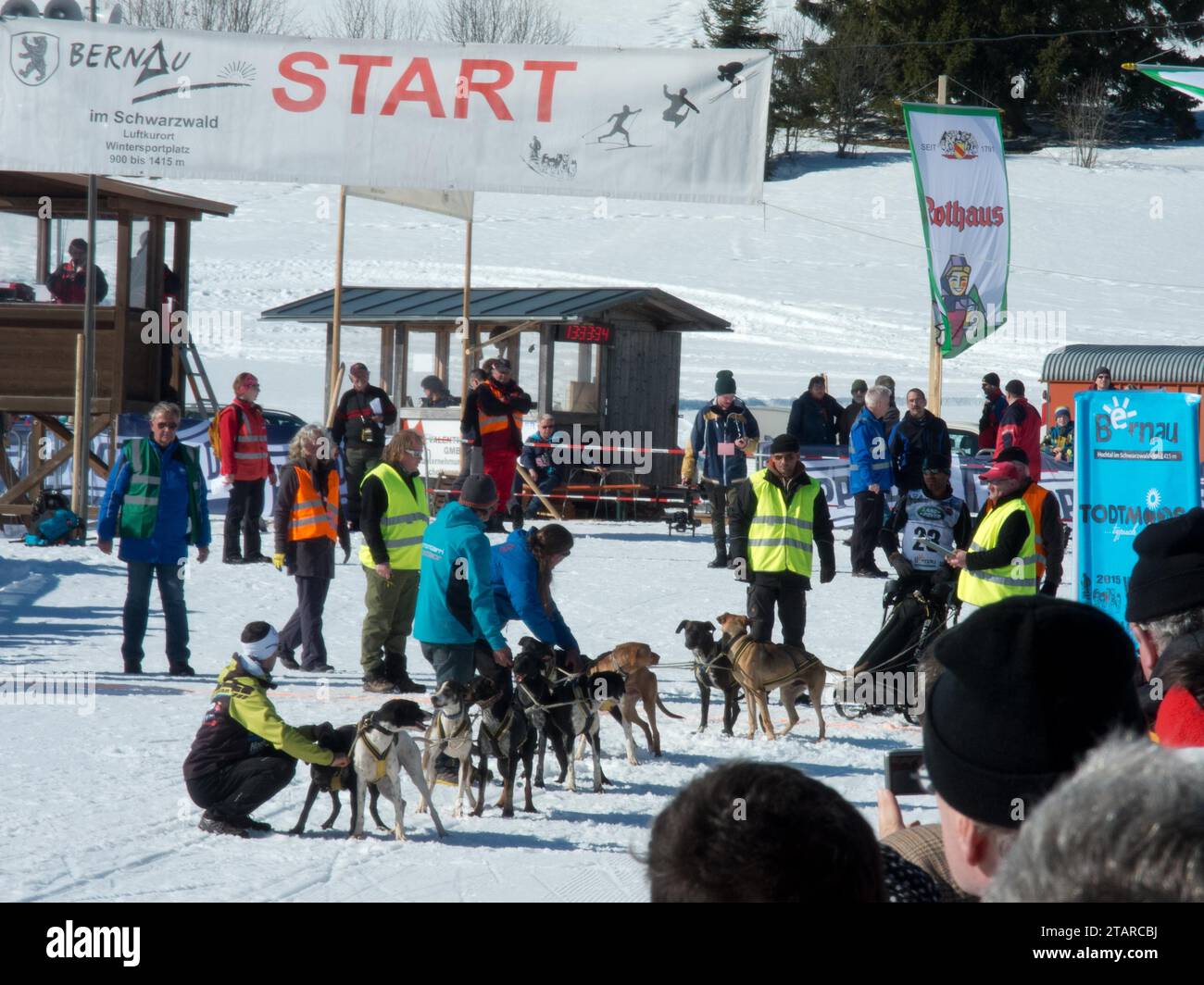 Starting point of the Sled Dog Racing World Championship, Bernau, Black ...