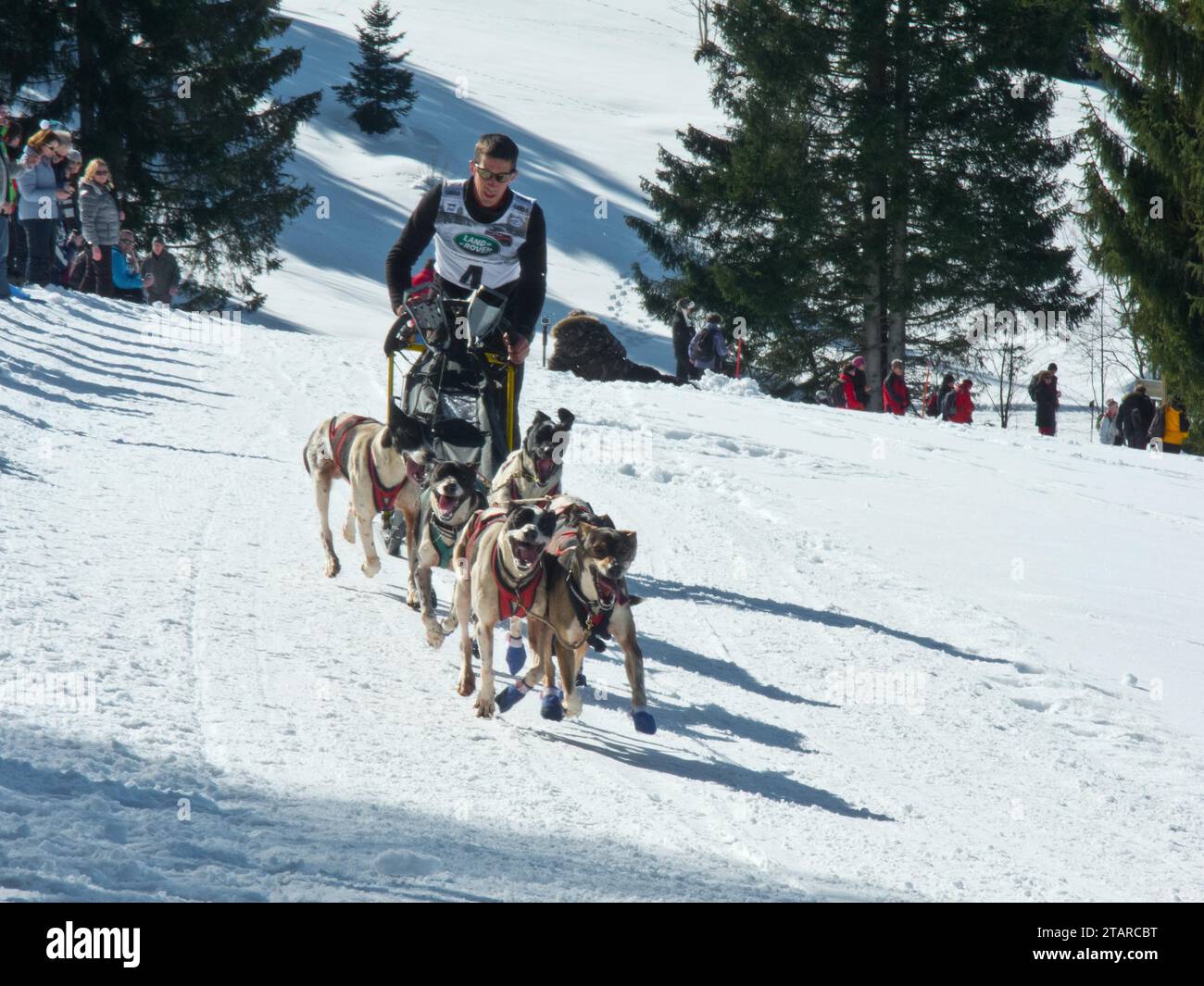 Double team with 6 dogs at the Sled Dog Racing World Championship ...