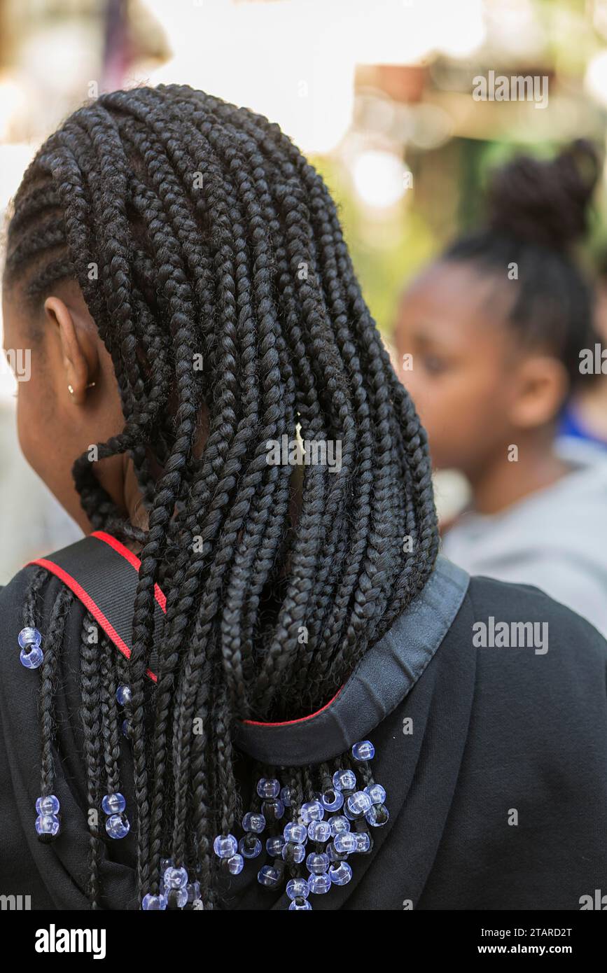 Young girl with black braids, Paris, France Stock Photo - Alamy