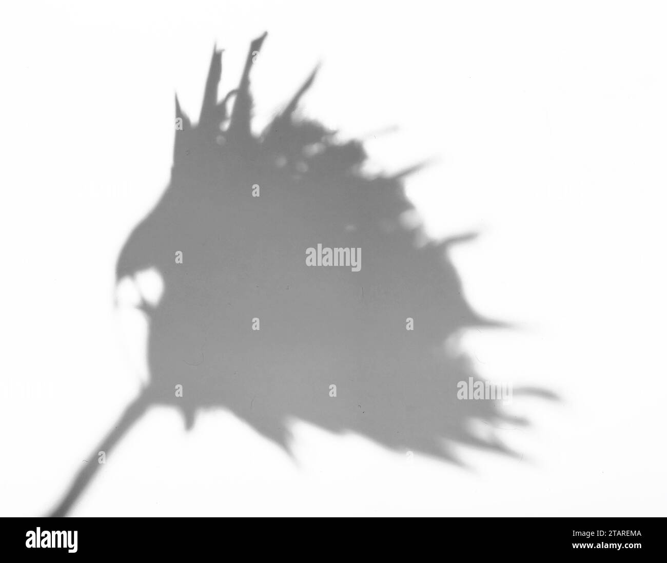 Wall lighting light shadow Cut Out Stock Images & Pictures - Alamy