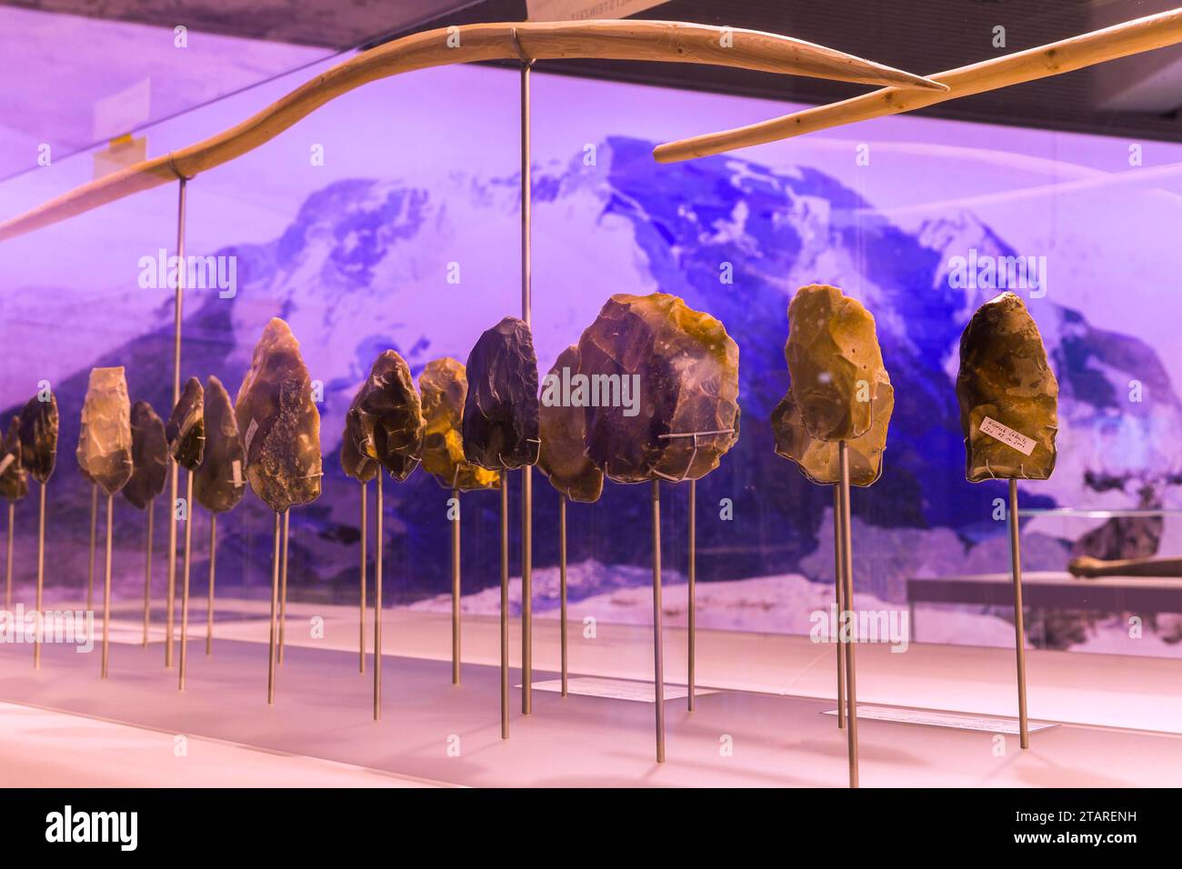 State Museum for Archaeology Chemnitz Stock Photo - Alamy