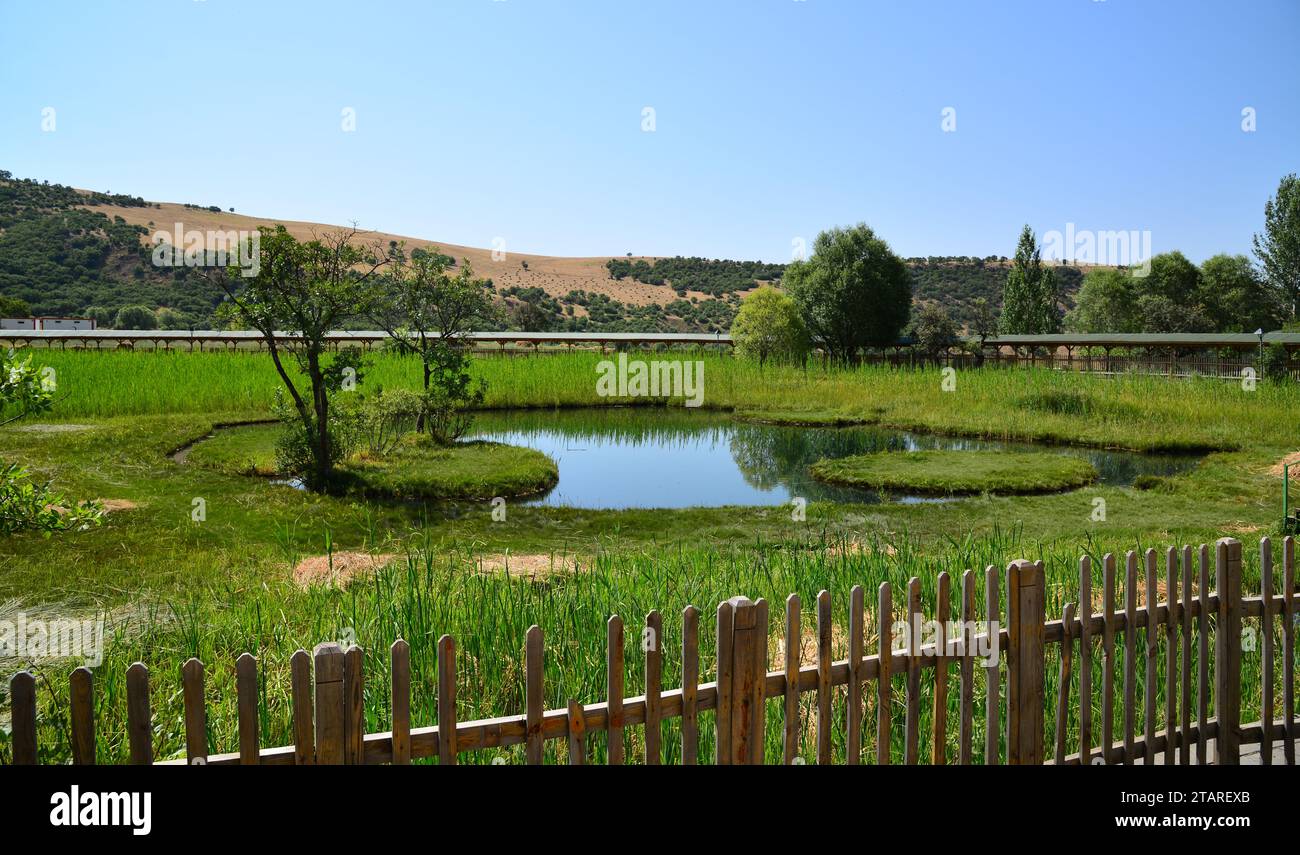 Floating Islands in Bingol, Turkey Stock Photo - Alamy