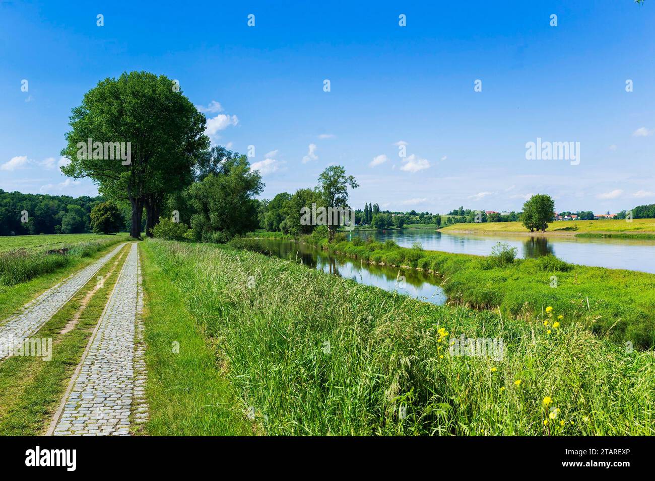 Strehla Elbe Cycle Route Stock Photo - Alamy