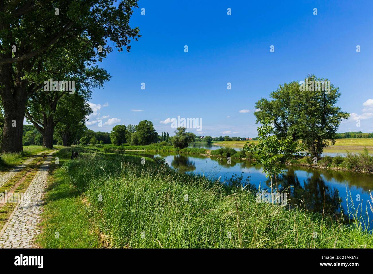 Elbe cycle route hi-res stock photography and images - Alamy