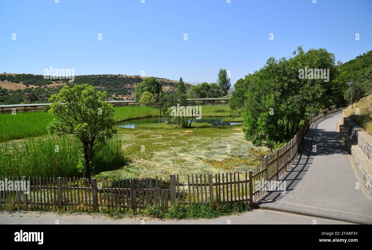 Floating Islands in Bingol, Turkey Stock Photo - Alamy
