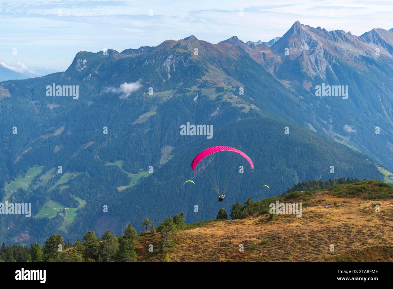 Tandem paragliding flight, Penken, Mayrhofen, Zillertal Alps, alpine pastures, alpine mountain ...