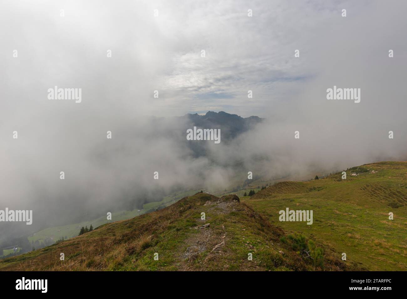 Low hanging clouds on the Penken, Penkenjoch (2095m), view from above ...