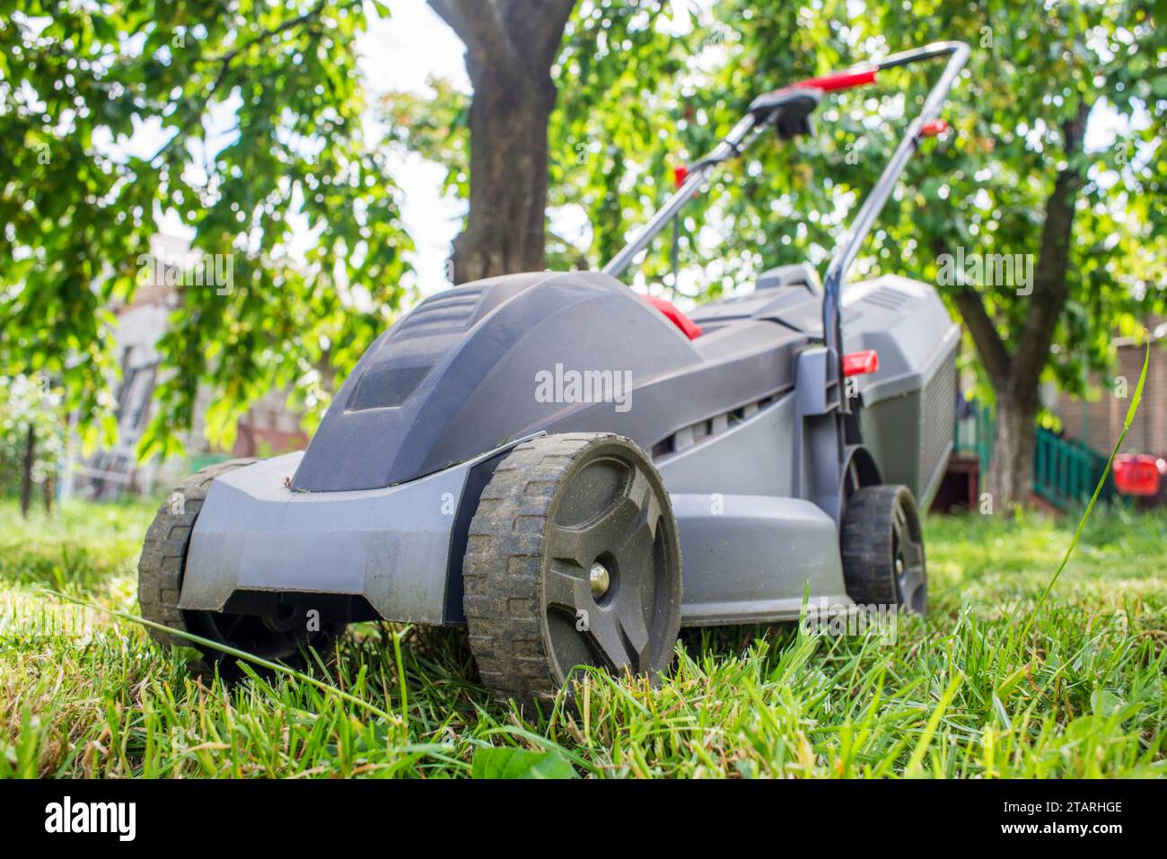 Lawn mower on a lawn on a background of trees. Outdoor shot of ...