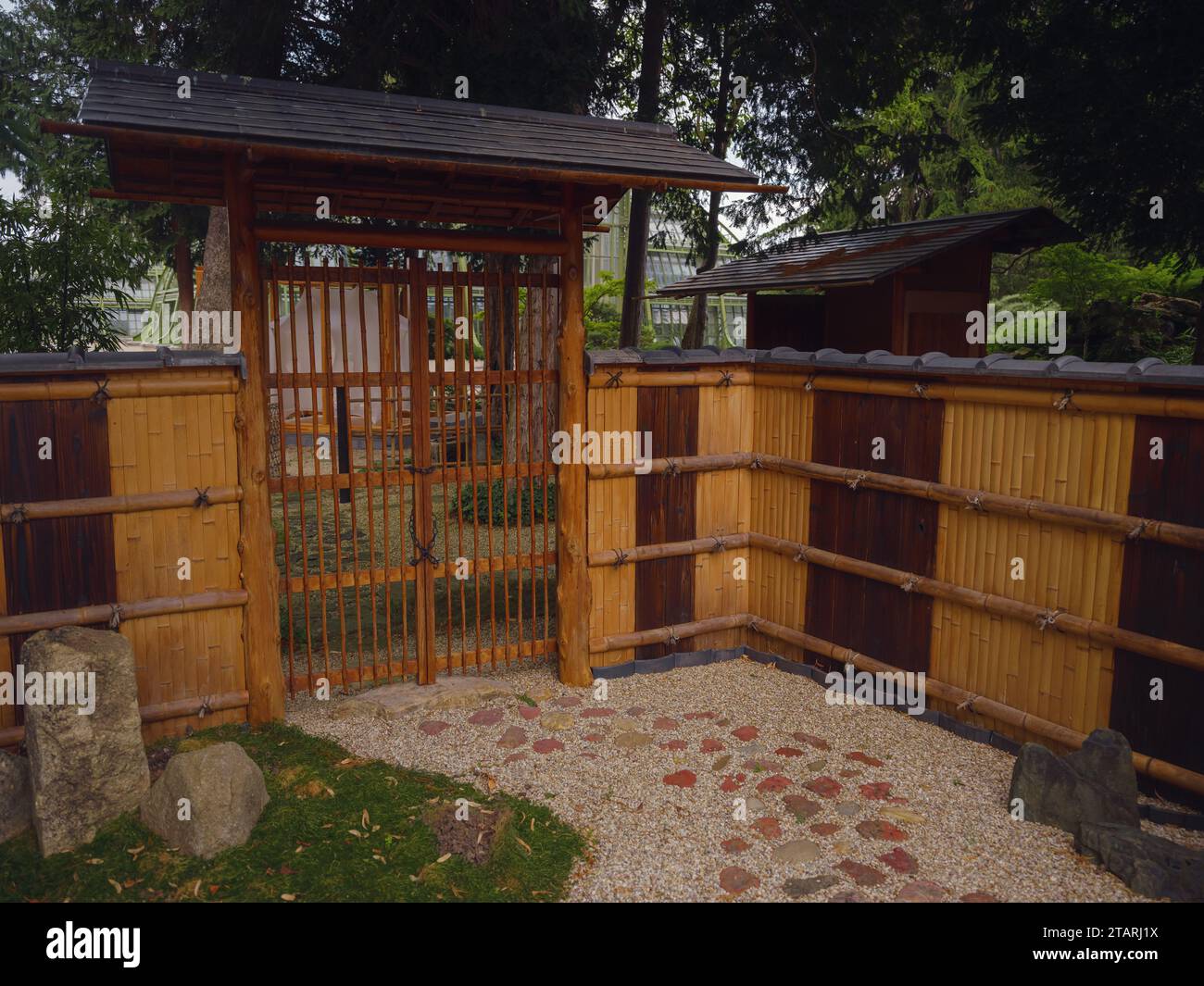 Japanese garden in Vienna (inside Botanical garden): Japanese maple ...