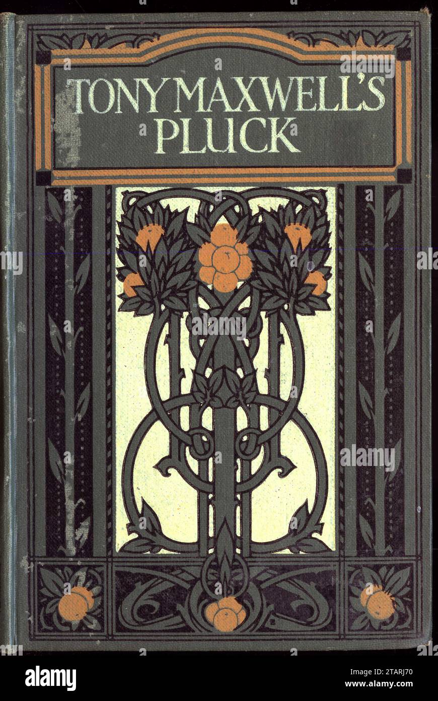 Front cover of the book Tony Maxwell's Pluck by Geraldine Derrymore AKA ...