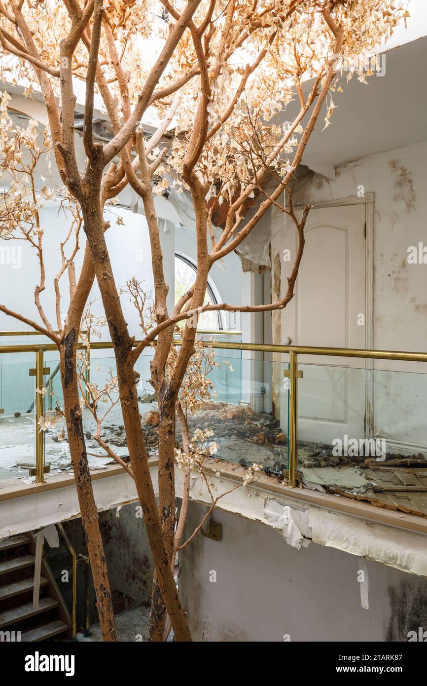 Tree and mansion hi-res stock photography and images - Alamy