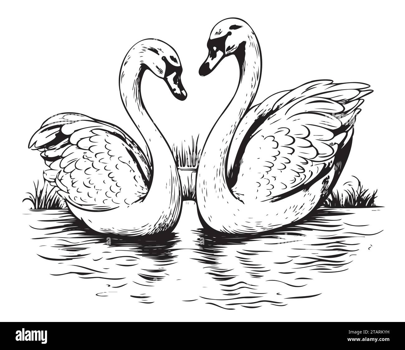 Two swans swimming in the pond hand drawn sketch in doodle style ...