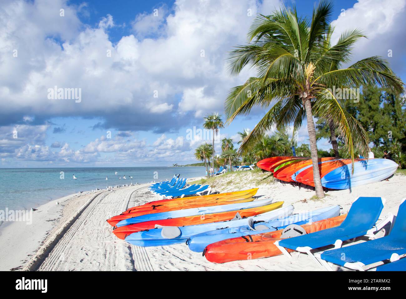 The morning view of a tourist beach with colorful kayaks and still ...