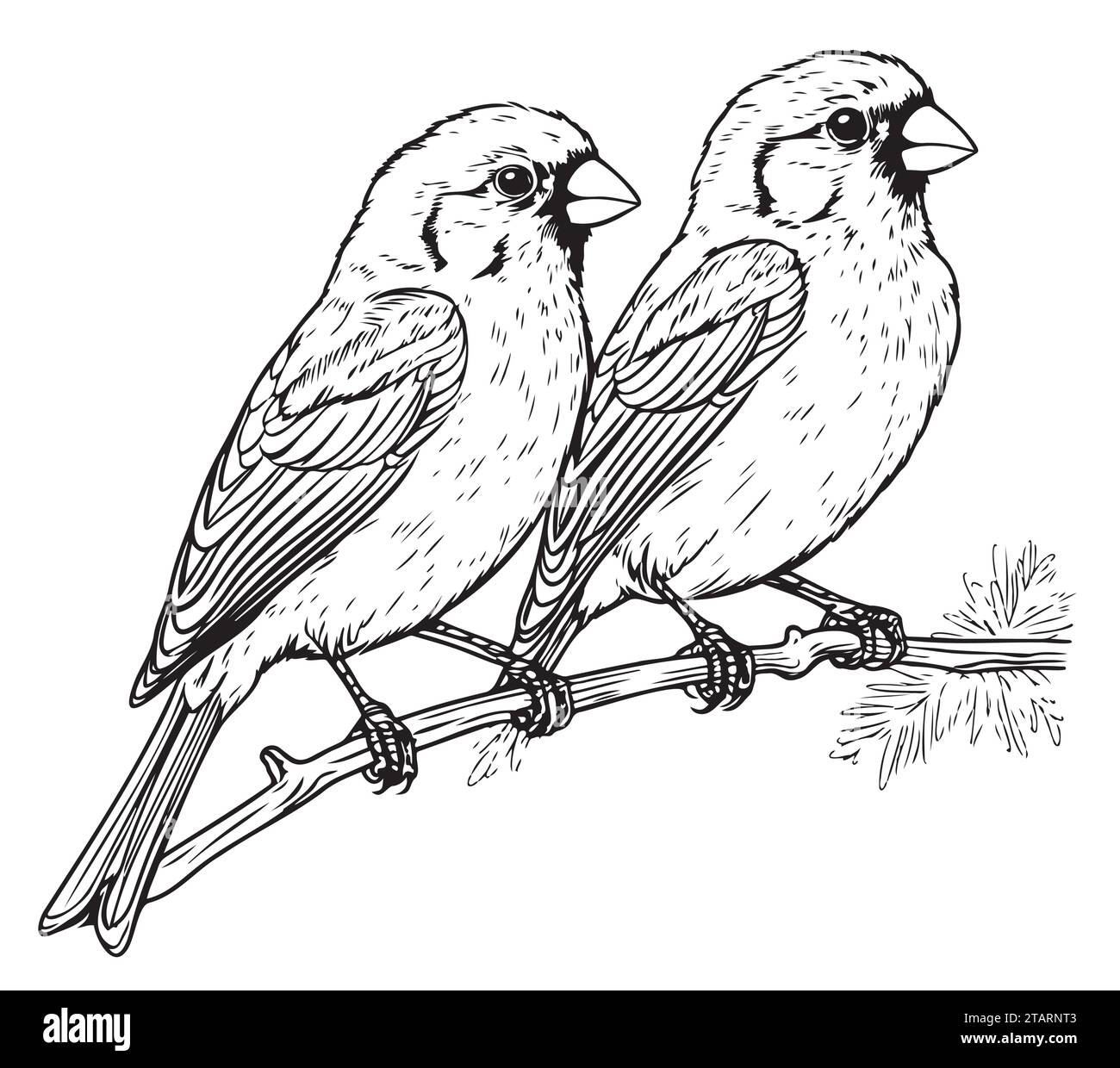 Cartoon canary hi-res stock photography and images - Alamy