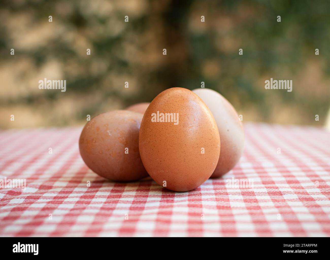 High definition eggs hi-res stock photography and images - Alamy