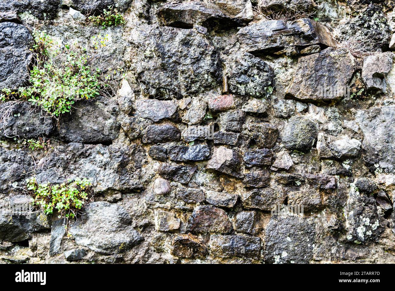 travel to Georgia - stone walls of Gonio Fortress ancient Roman ...