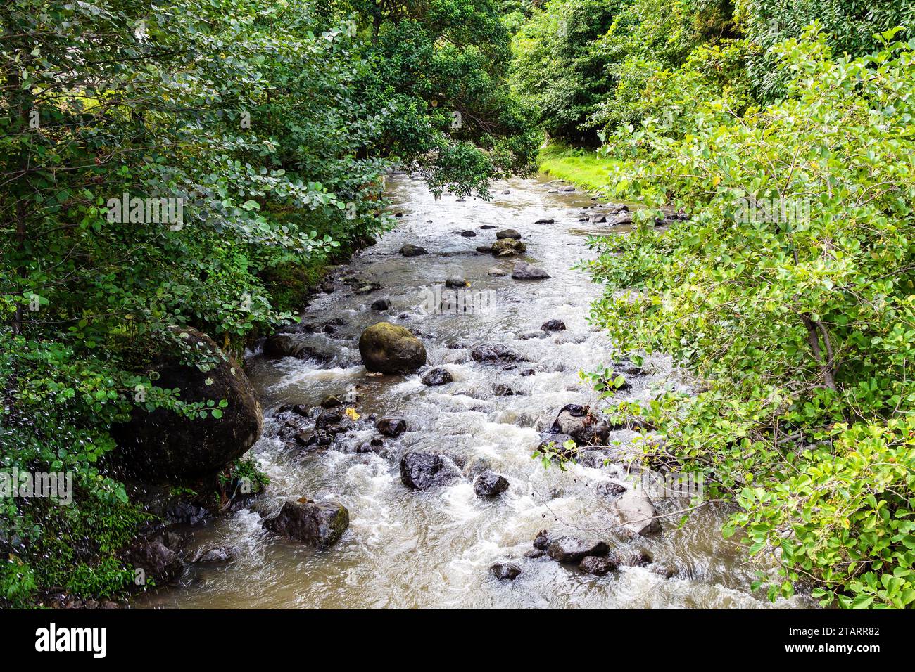 travel to Georgia - small mountain river Makho in Maho village, Adjara ...