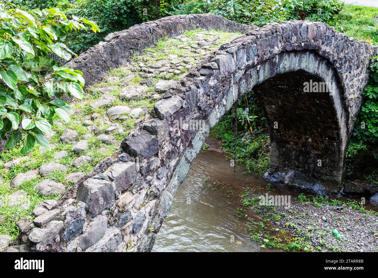Tamar mepe hi-res stock photography and images - Alamy