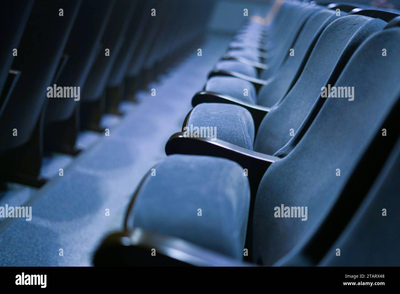 Black chairs in a row Stock Photo - Alamy