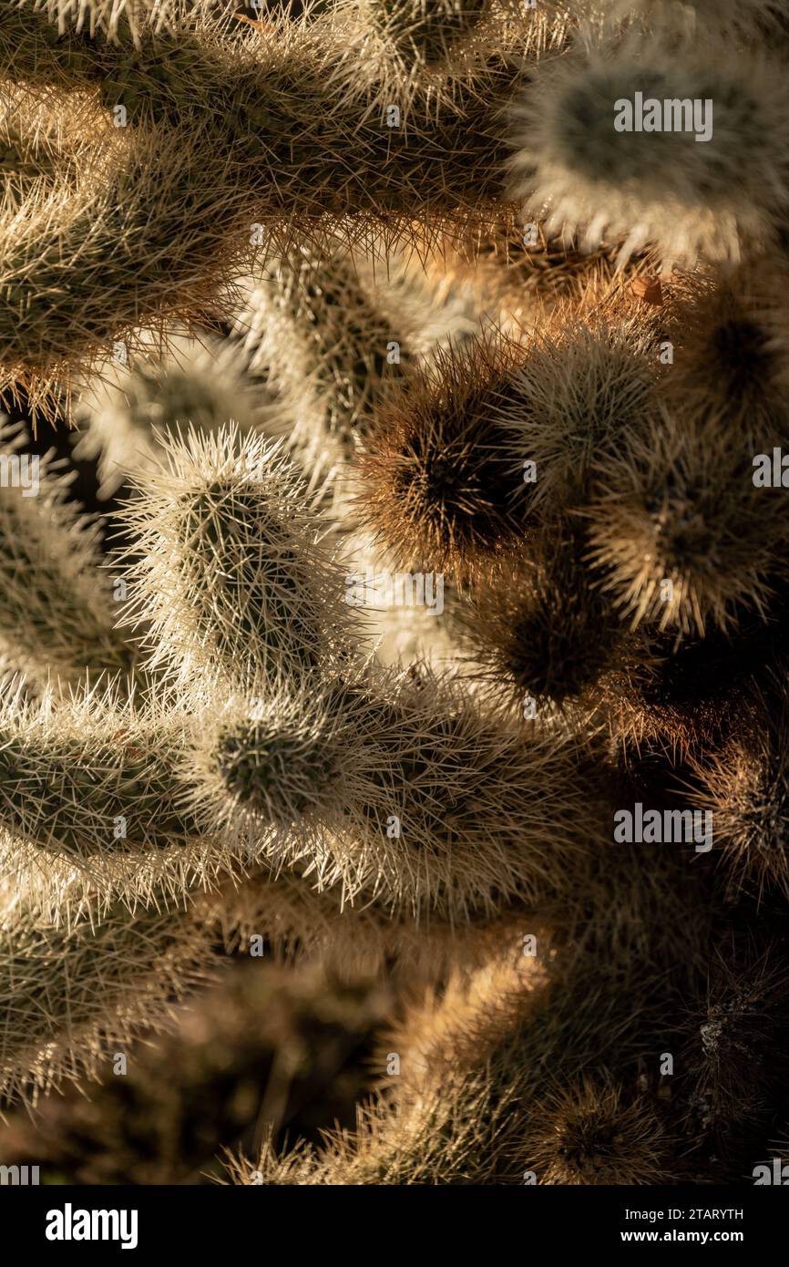 Tangle of arms hi-res stock photography and images - Alamy