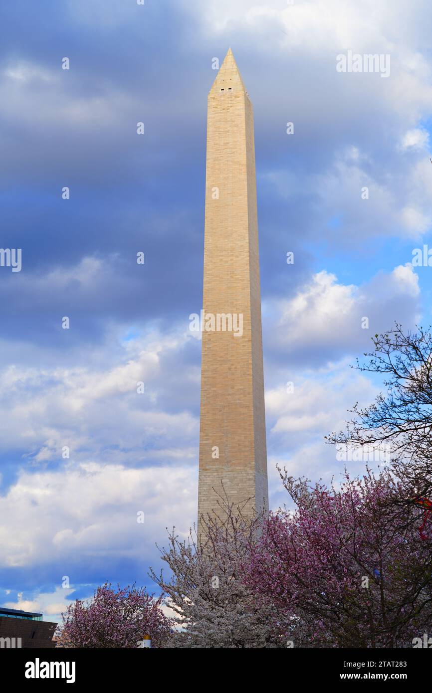 WASHINGTON, DC -25 MAR 2022- View of the Washington Monument obelisk by ...