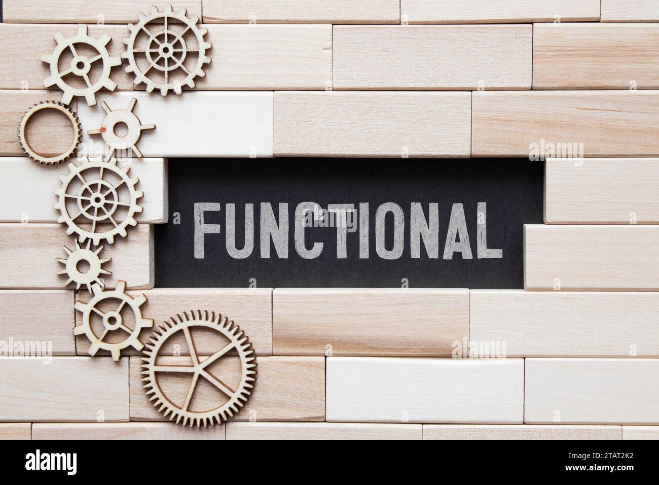 Functional freeze symbol. Concept words Functional freeze on beautiful ...