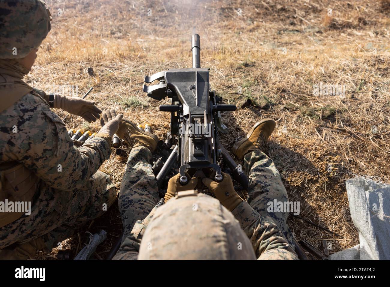 U.S. Marines fire a Mark 19 40 mm grenade machine gun during Artillery ...
