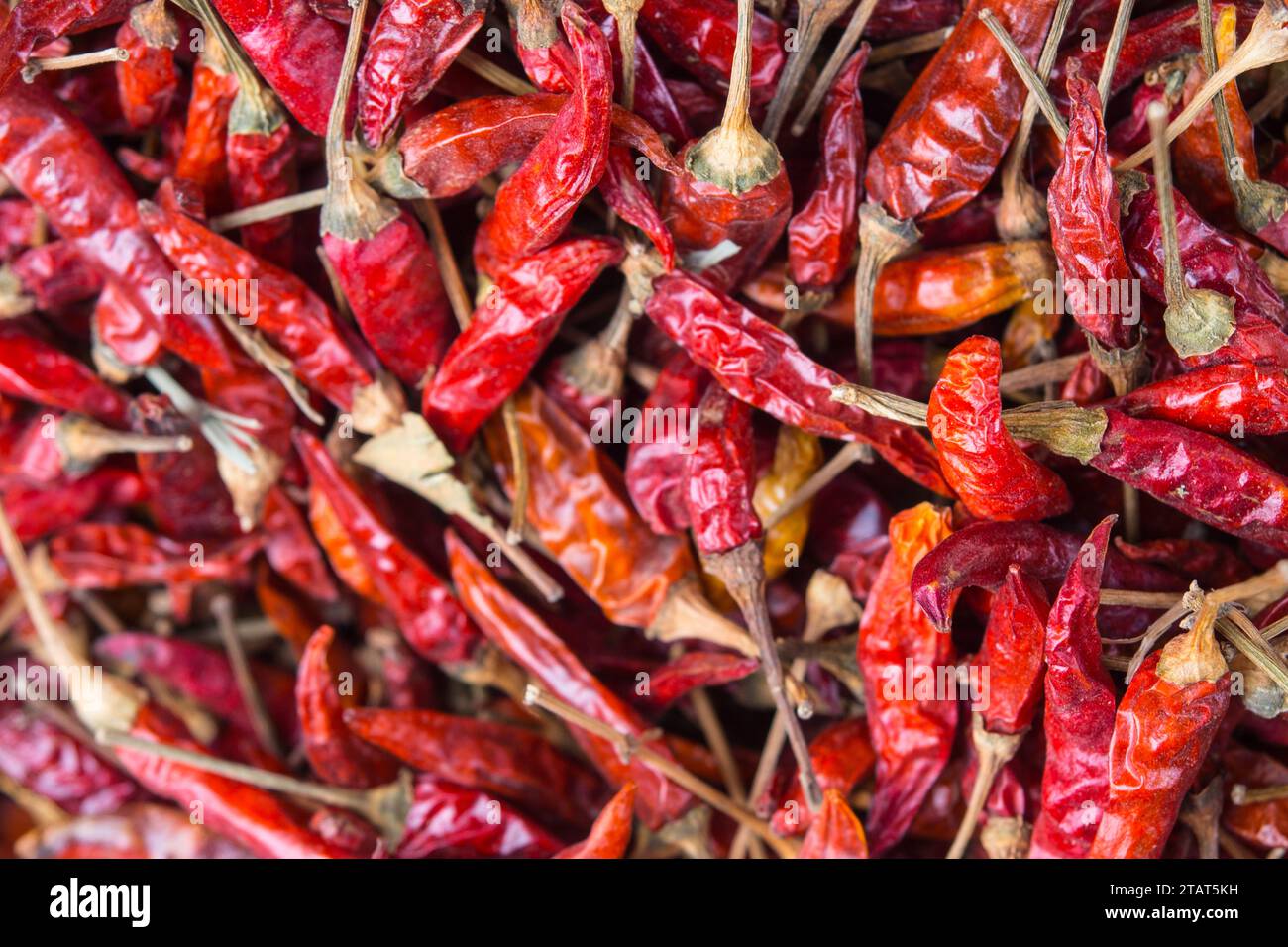Hot chill pepper hi-res stock photography and images - Alamy
