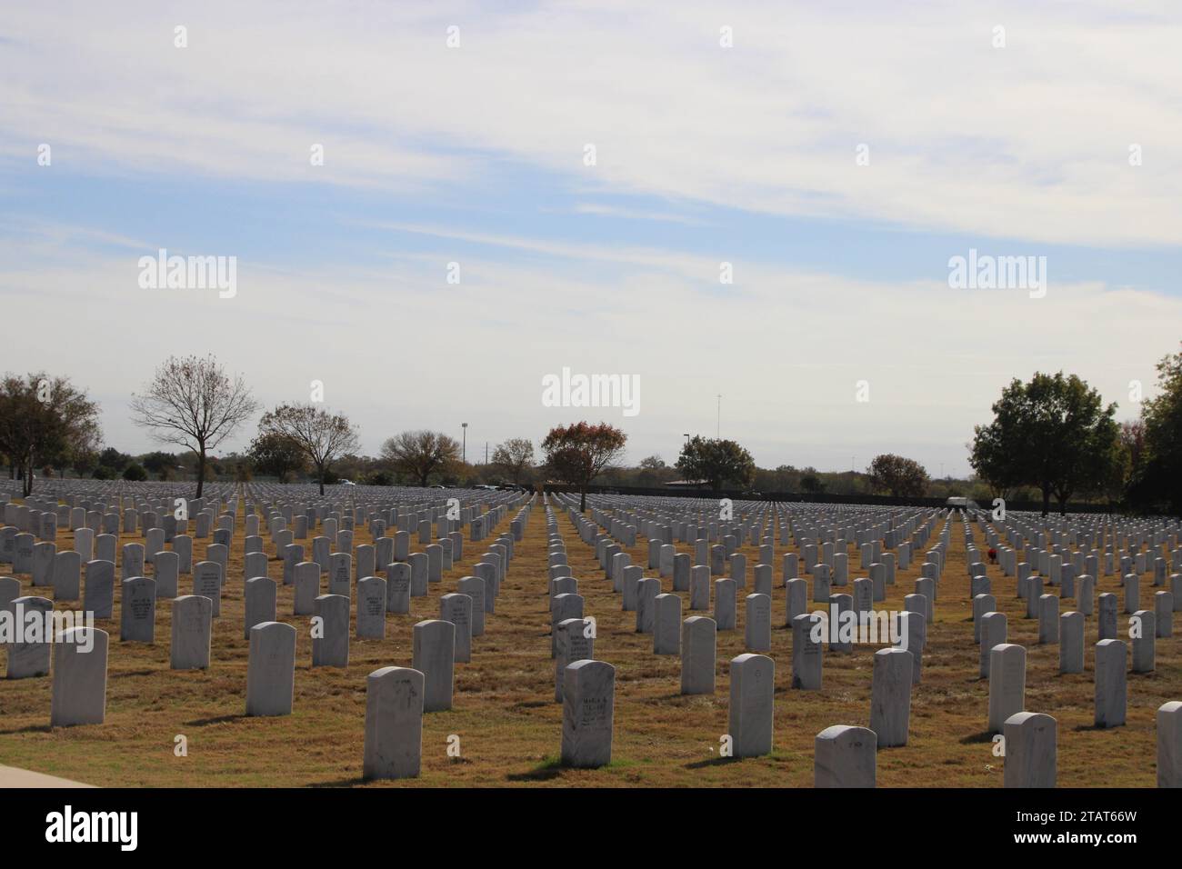 San Antonio, USA. 01st Dec, 2023. View of the cemetery grounds at Fort ...
