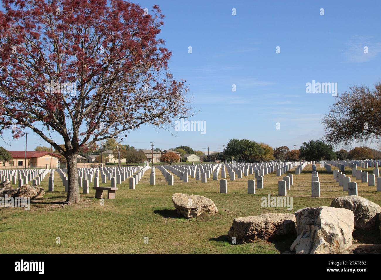 San Antonio, USA. 01st Dec, 2023. View of the cemetery grounds at Fort ...