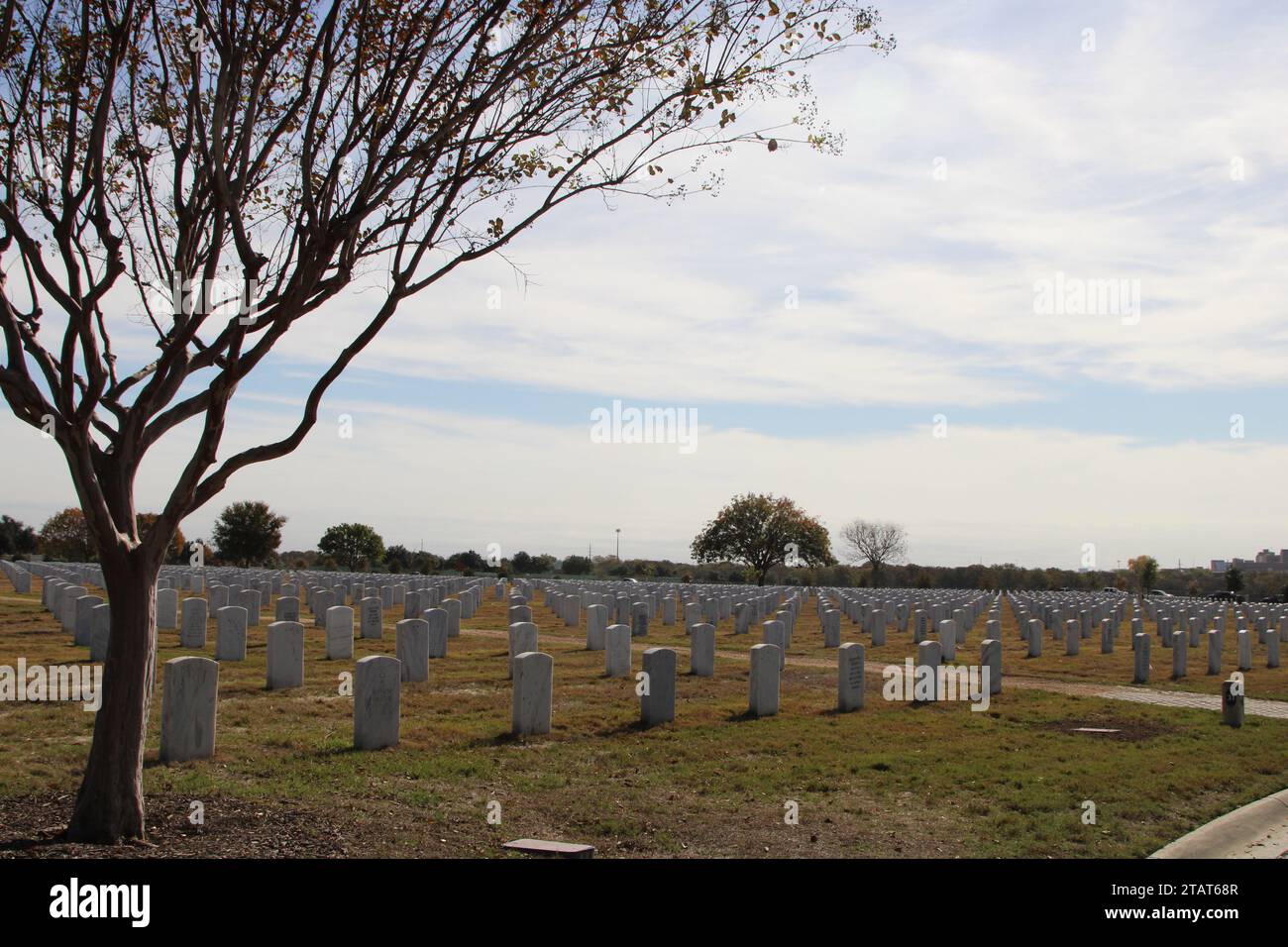 San Antonio, USA. 01st Dec, 2023. View of the cemetery grounds at Fort ...