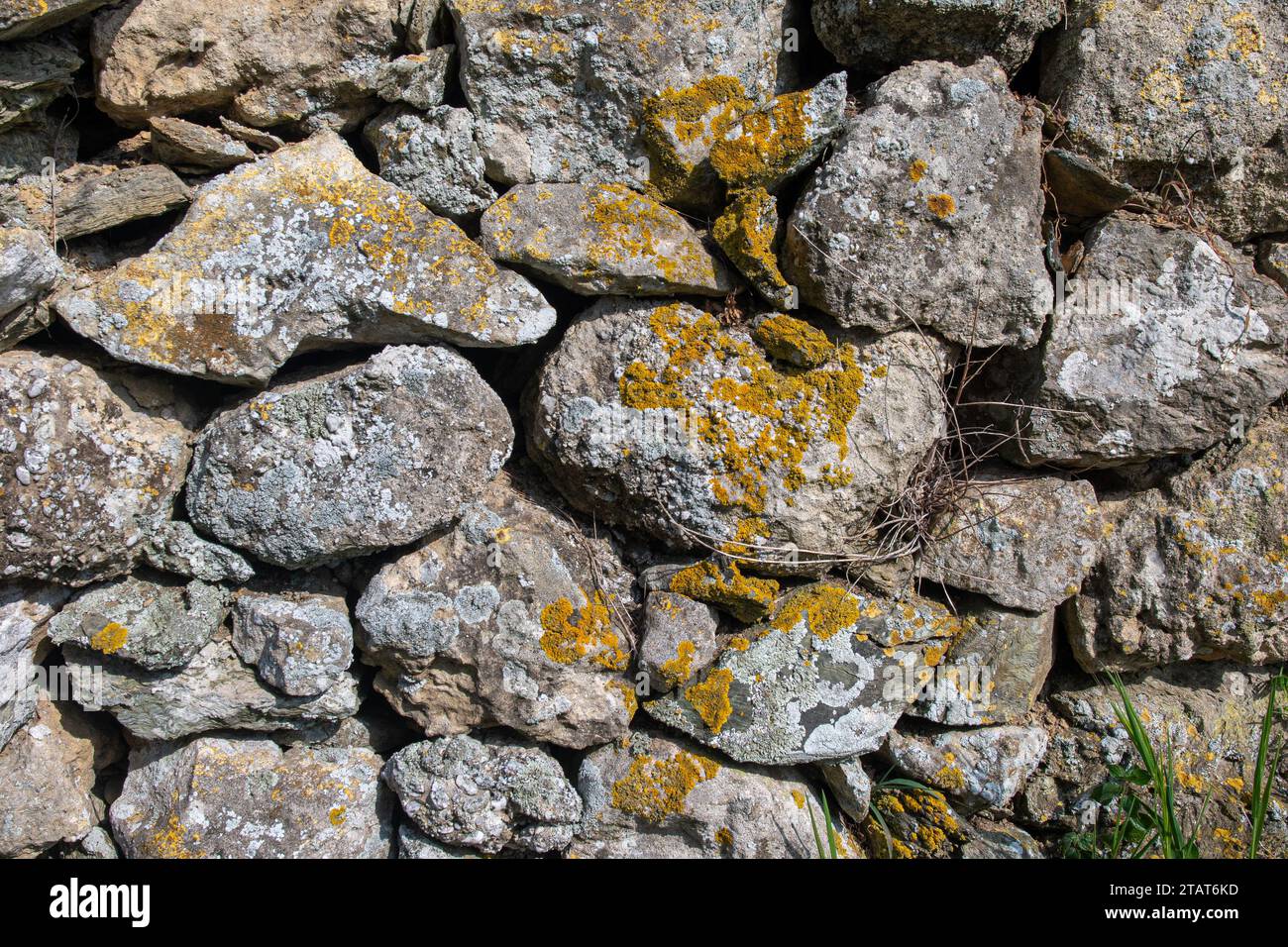 Drywall texture hi-res stock photography and images - Alamy