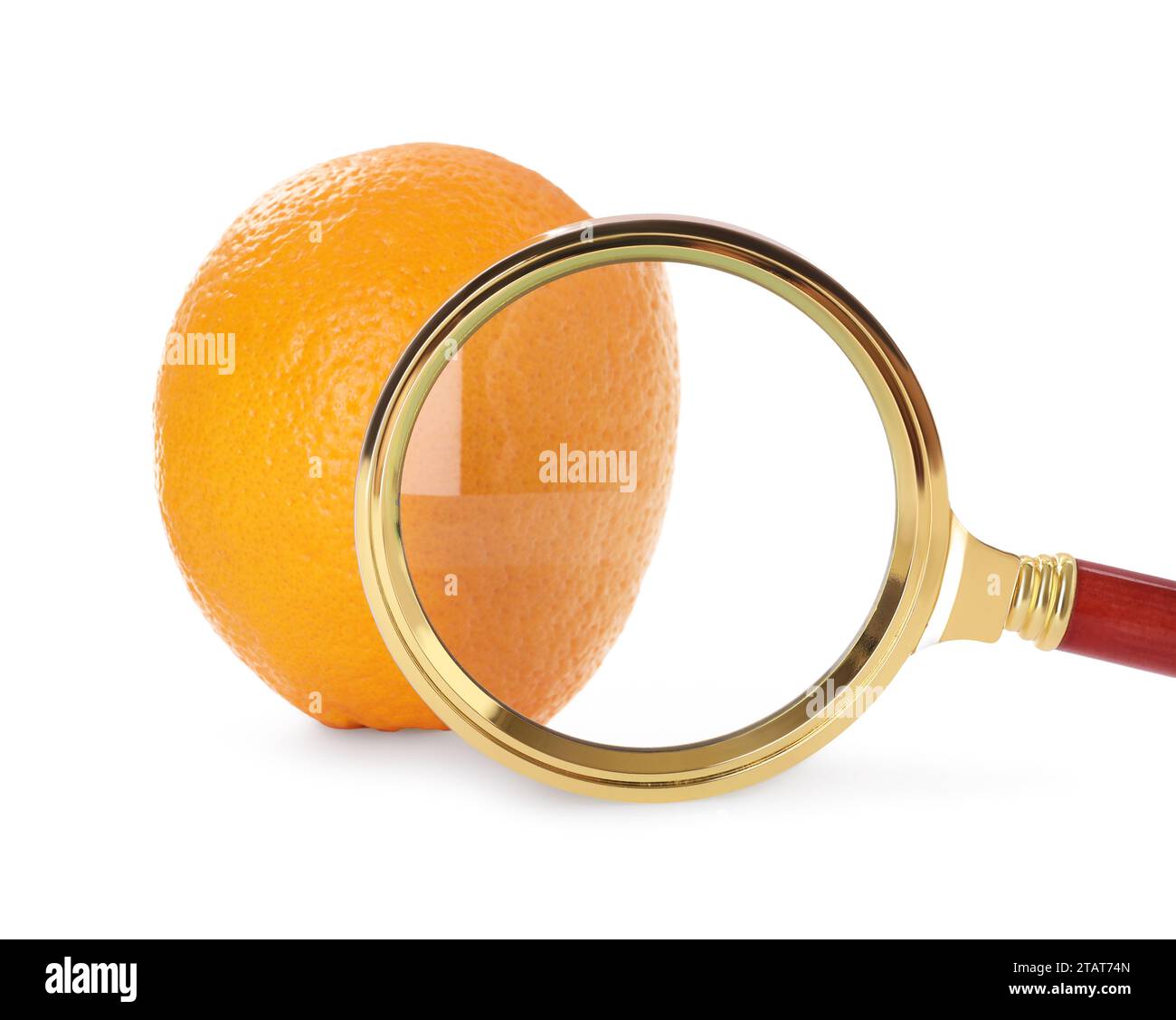 Cellulite problem. Orange and magnifying glass isolated on white Stock ...