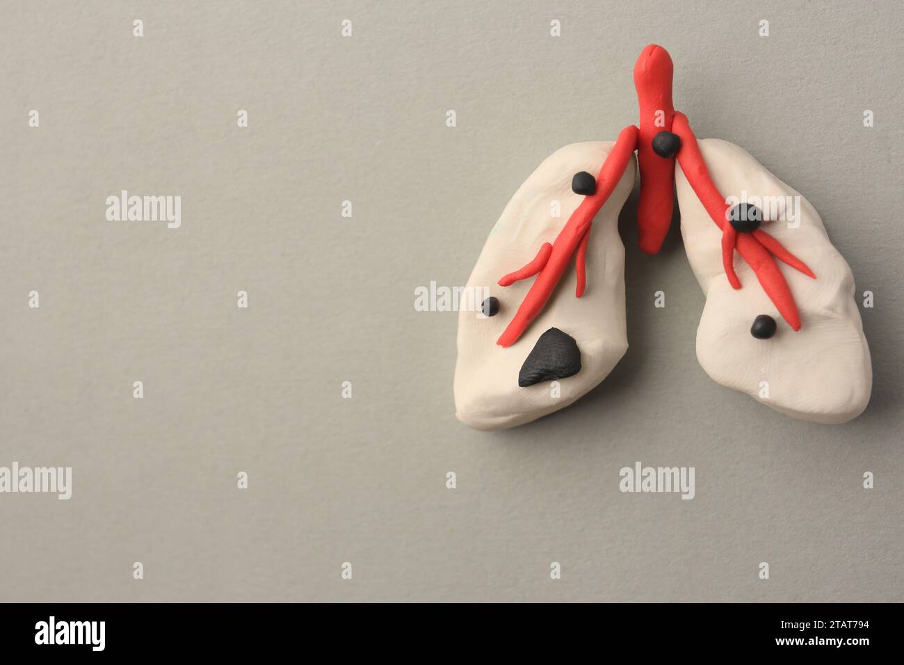 Human lungs made of plasticine on light grey background, top view and ...