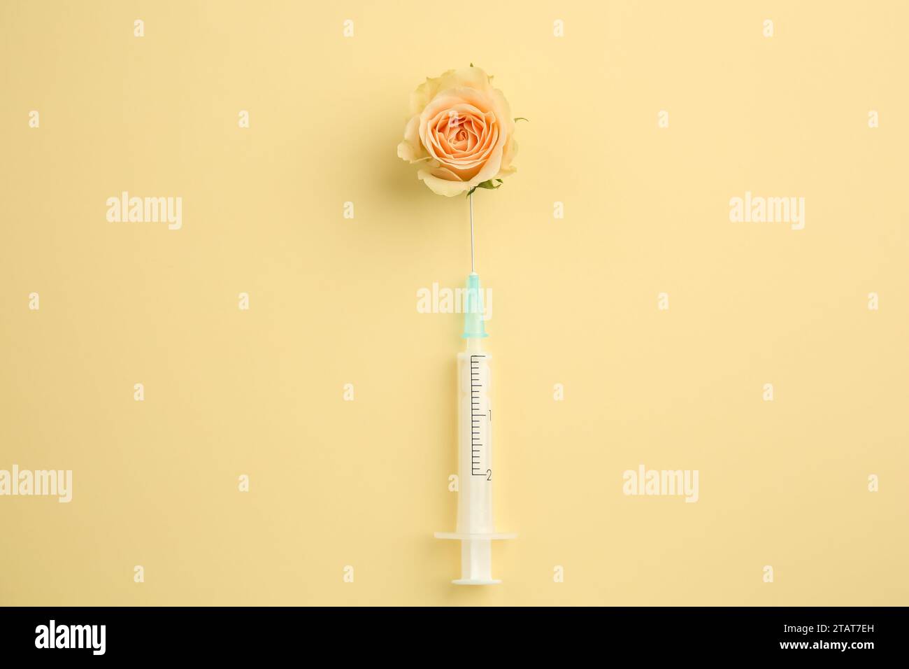 Medical syringe and beautiful rose on pale yellow background, top view ...