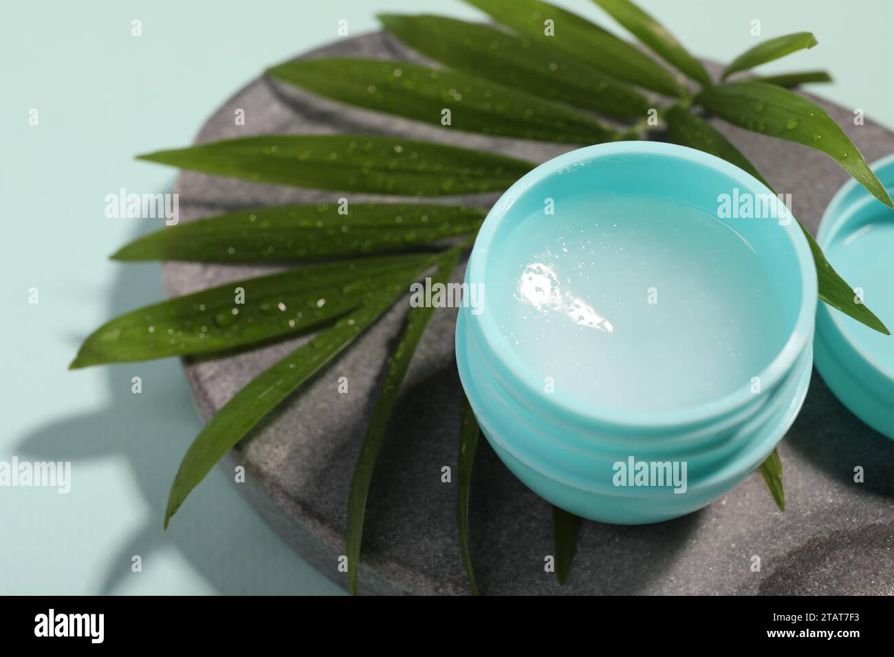 Lip balm and palm leaf on light blue background, closeup Stock Photo ...