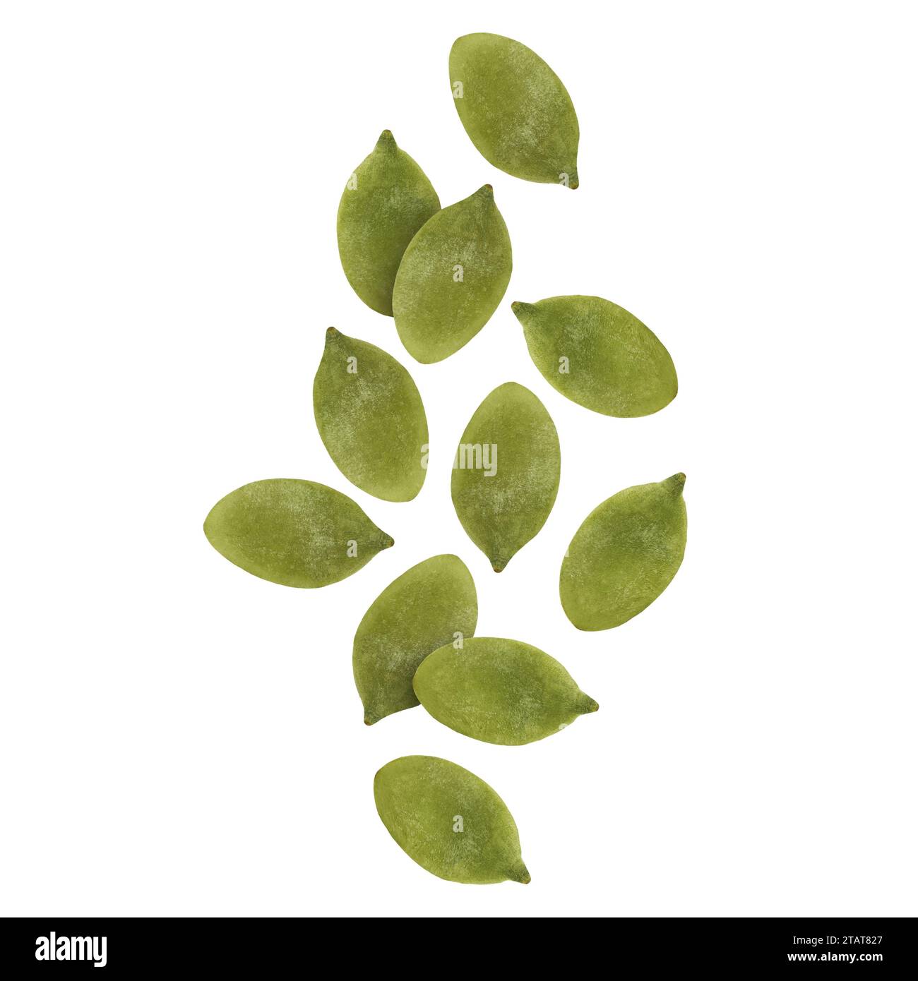 Peeled pumpkin seeds falling on white background Stock Photo - Alamy