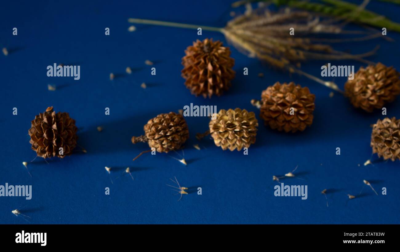 2024 background hi-res stock photography and images - Alamy