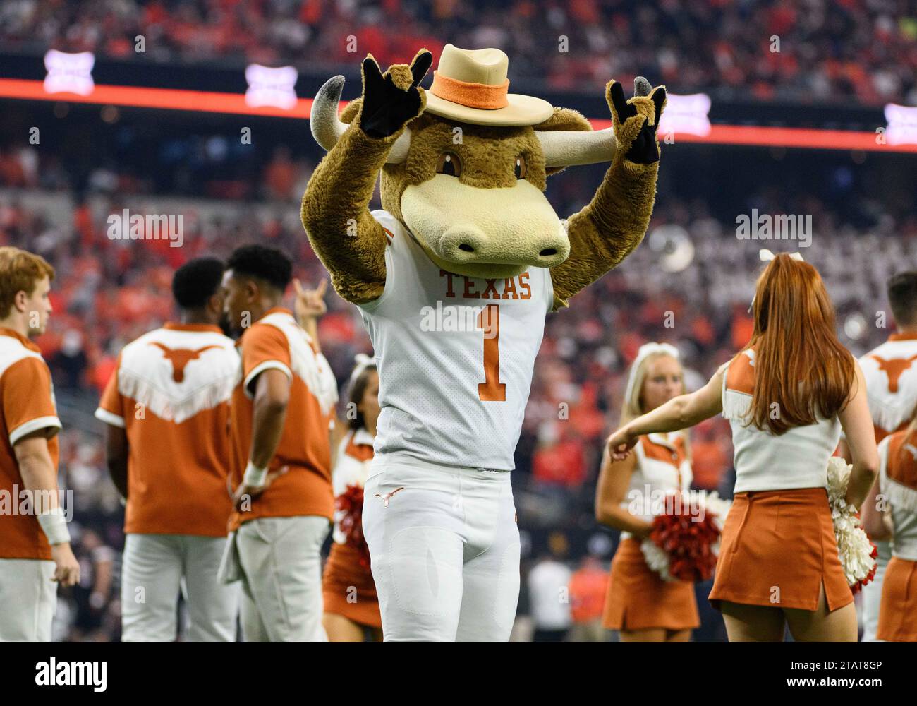 Arlington, Texas, USA. 2nd Dec, 2023. Texas Longhorns mascot during the ...