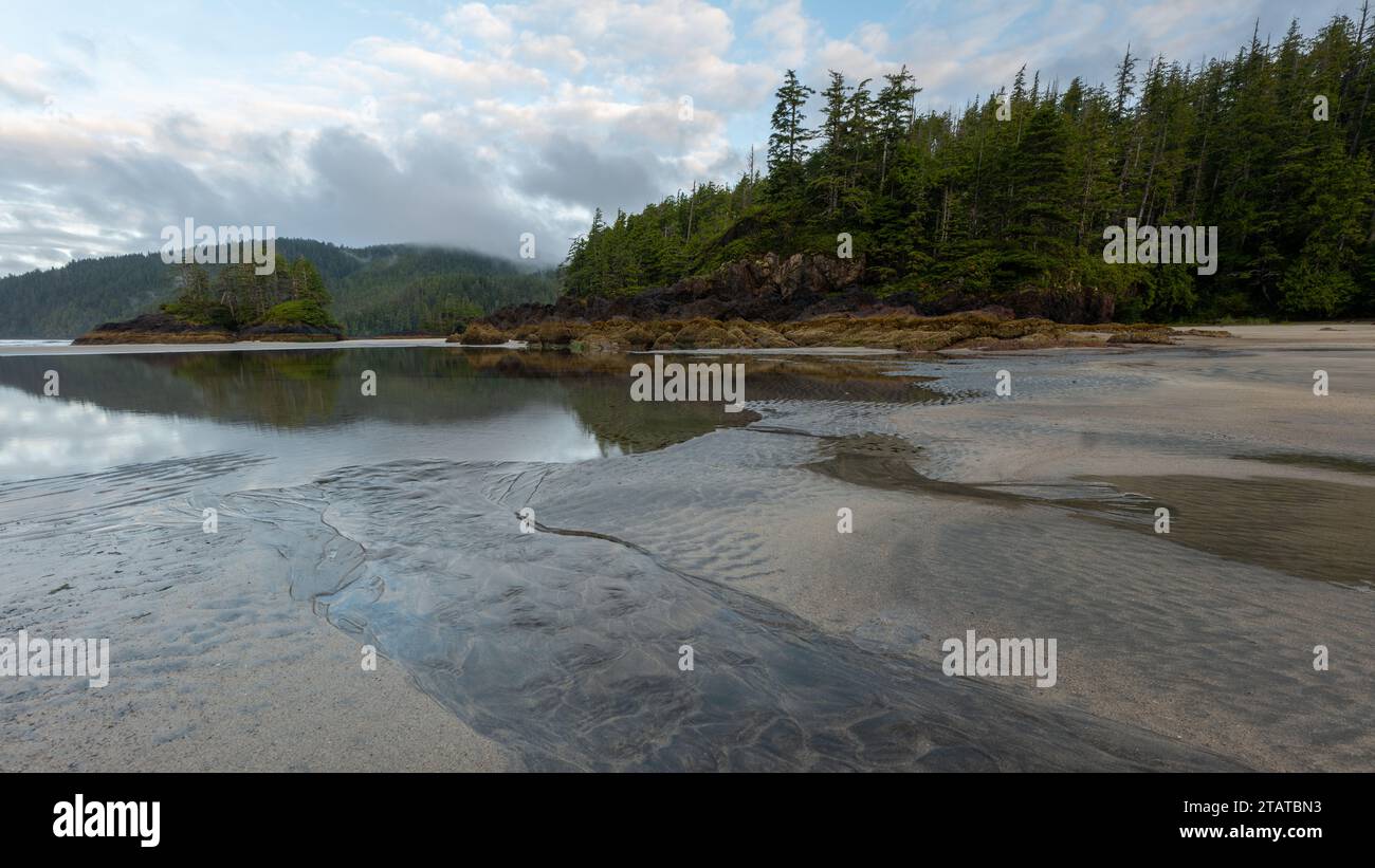 The tide going out at San Josef Bay, Vancouver Island, British Columbia ...