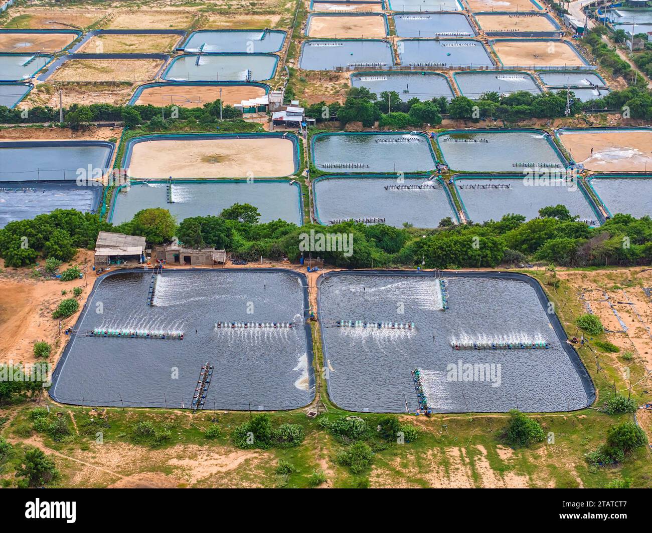 Shrimp farms aerial view in the Ninh Thuan, Vietnam Stock Photo - Alamy